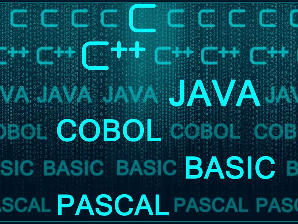 Homepage - New Vision Information Technology